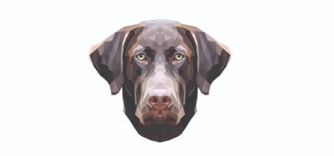 Top Low poly image generators | pixstacks